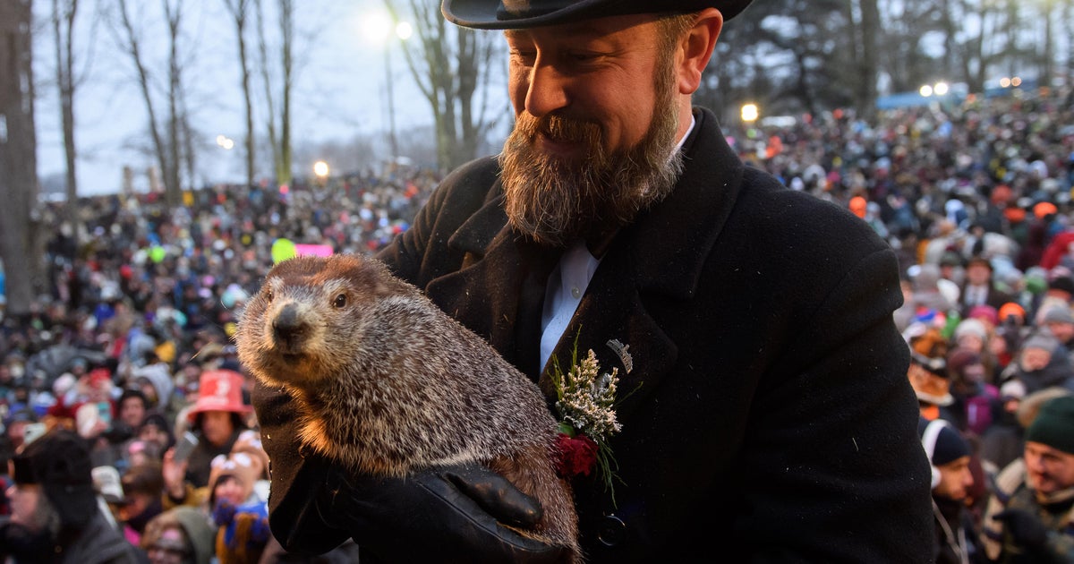 Groundhog Day 2019: Did the groundhog see his shadow today ...