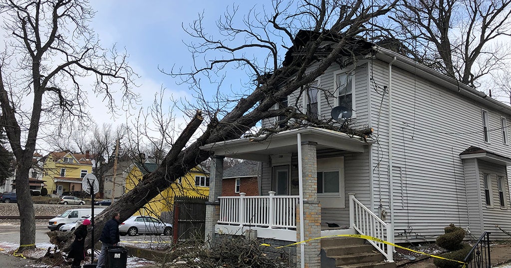 'Crash, Bang, Boom': High Winds Send Trees Crashing Into Homes In ...