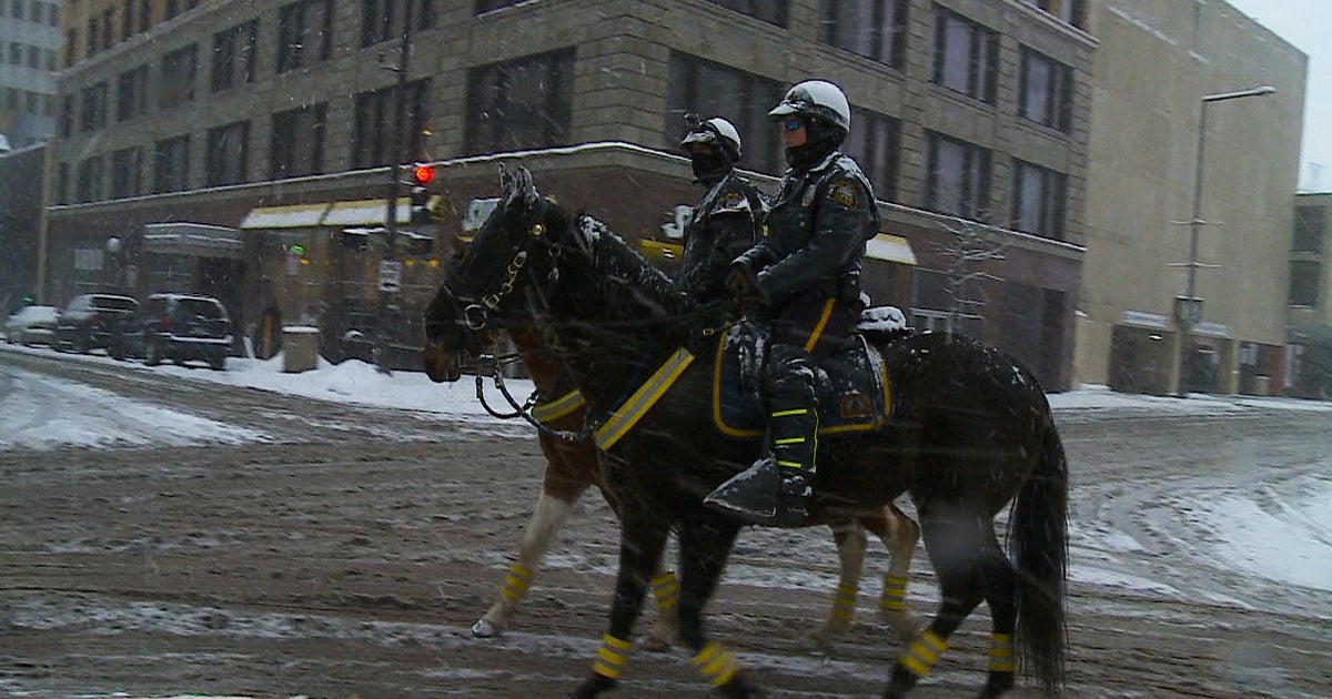 St. Paul Police Department Shuts Down Mounted Patrol Program - CBS ...