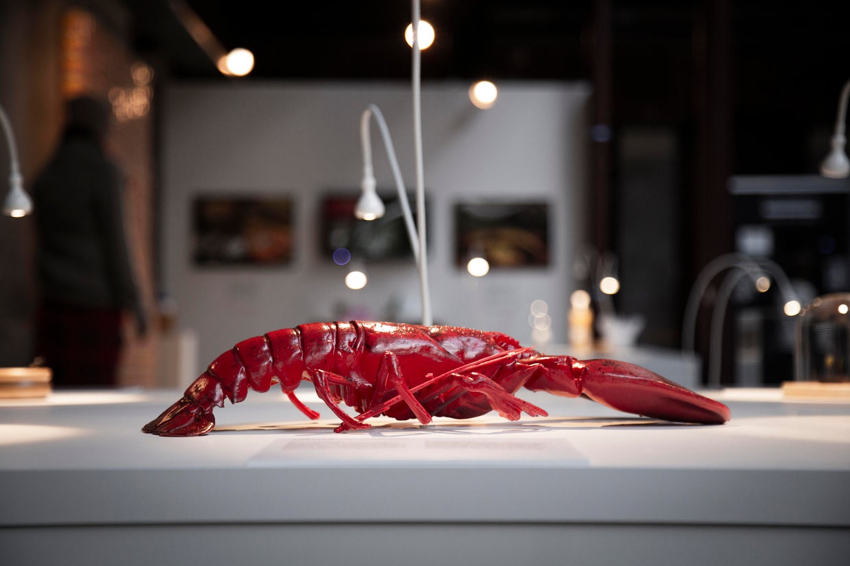 Disgusting Food Museum: Photos of the most disgusting food in the world ...