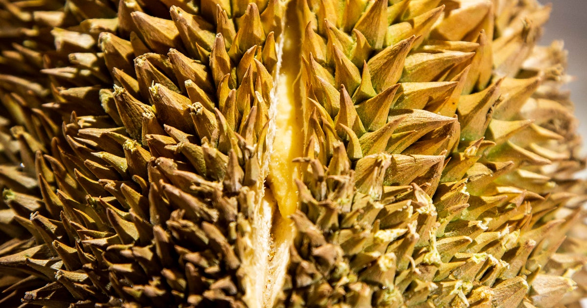 Durian smell evacuation: University of Canberra Library evacuated for ...