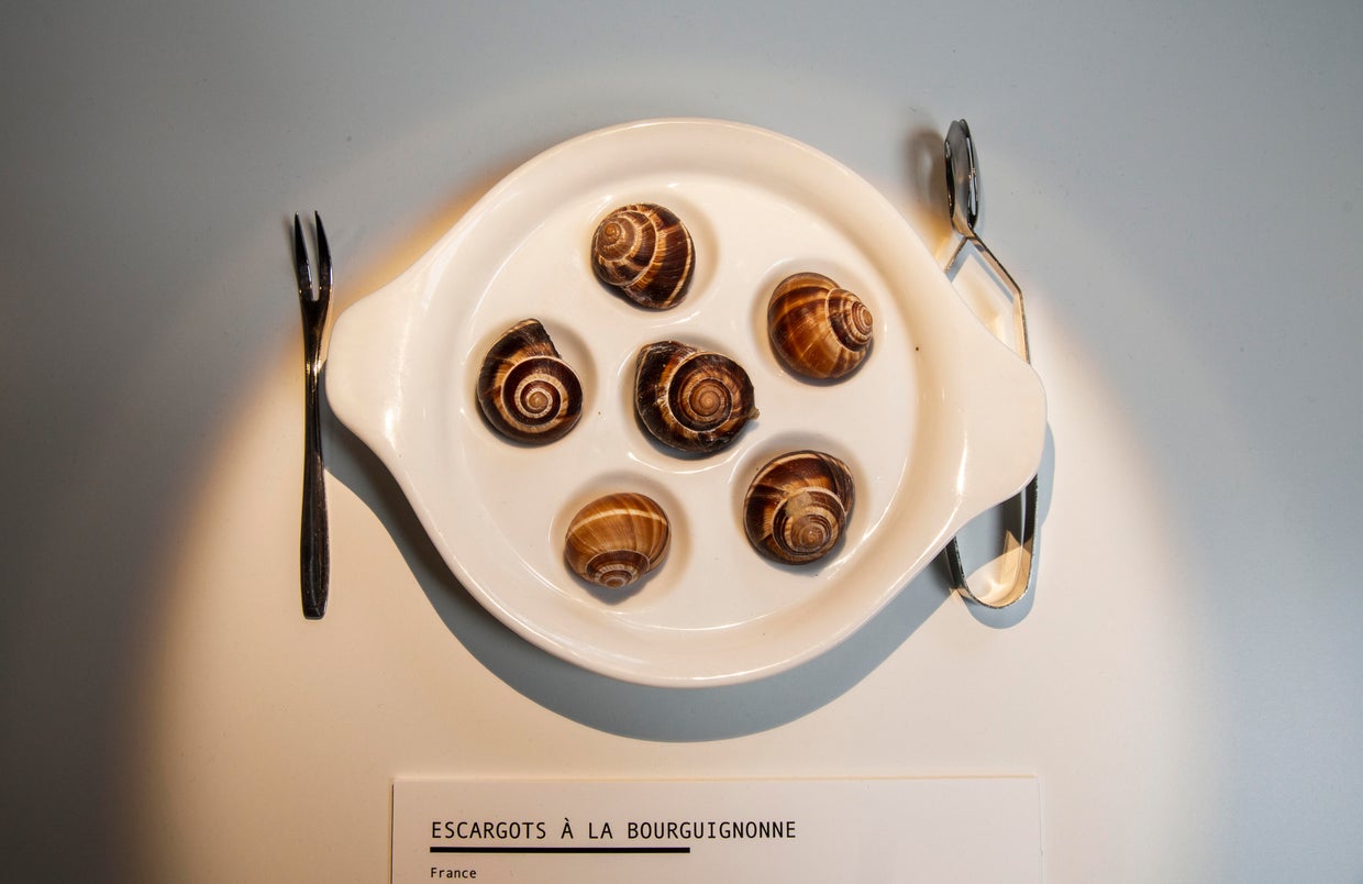 Disgusting Food Museum: Photos of the most disgusting food in the world ...
