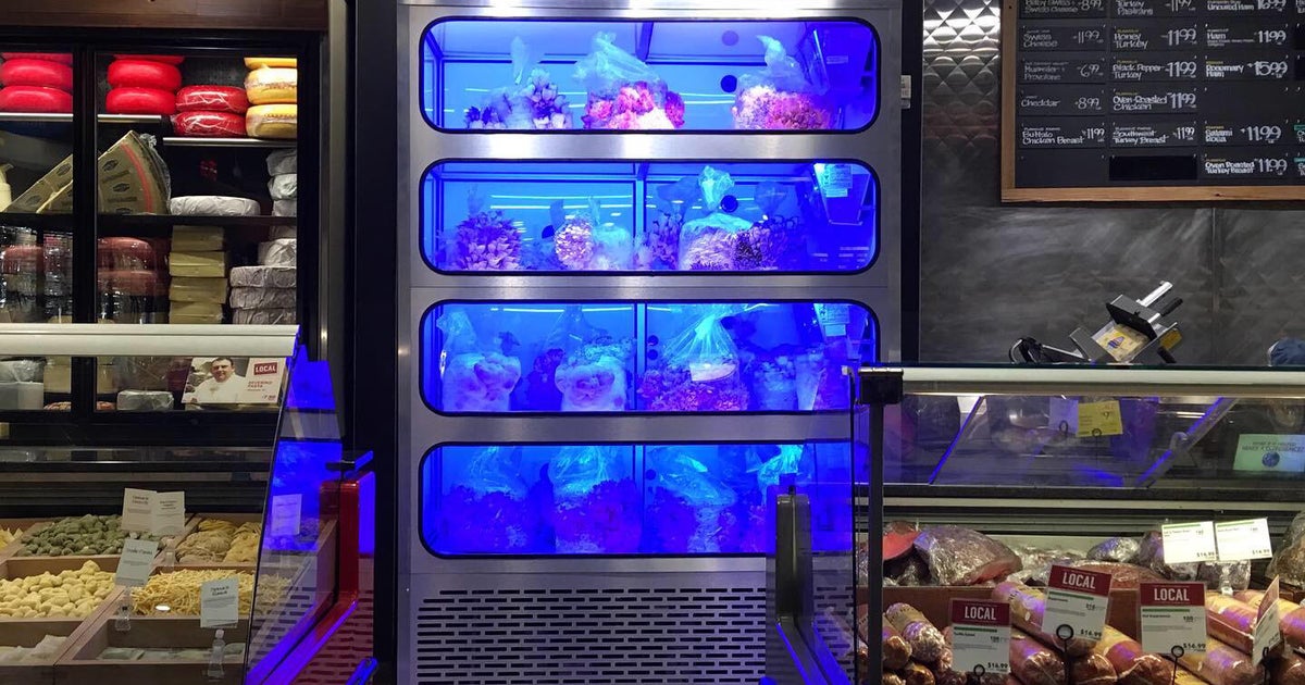 In-store mini farms could change how we eat - CBS News
