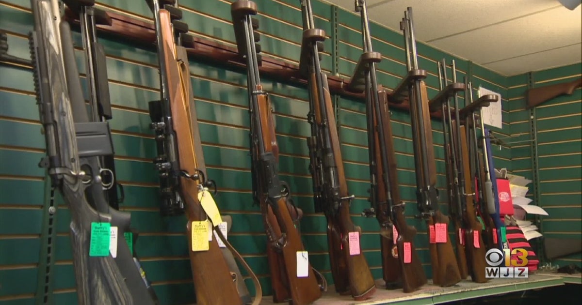 Baltimore County Council Passes Bill To Require More Security At Gun ...