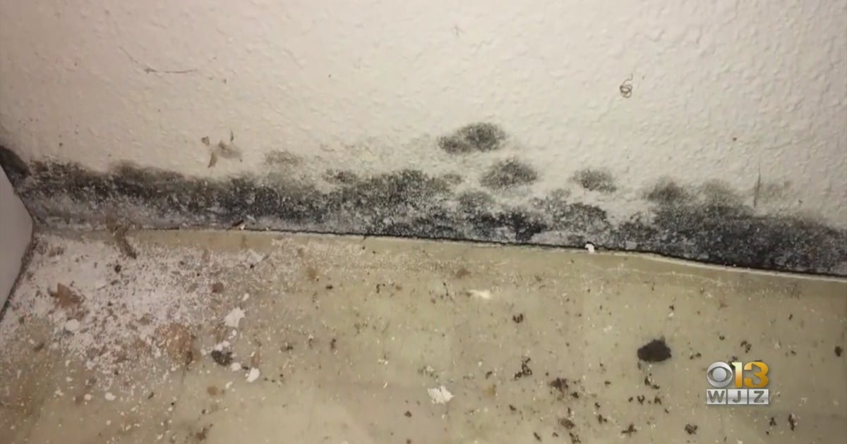 Leaders Apologize To Md. Military Families, Living In Infested Houses ...