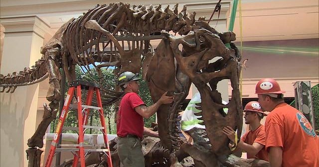 Inside the revamped Smithsonian dinosaur exhibit - CBS News