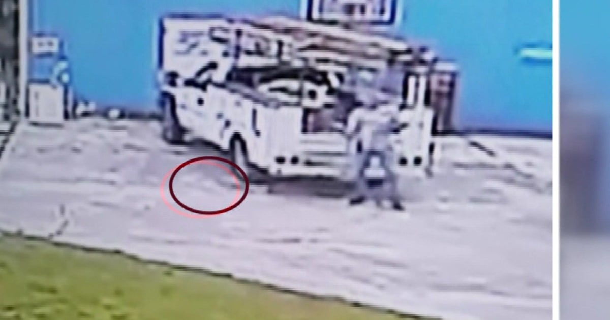 Florida Man Attacked By Neighborhood Squirrel Who Has Residents On High ...