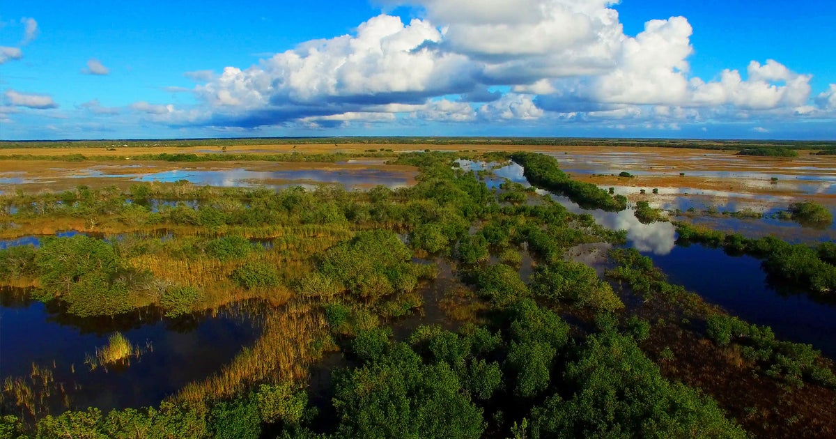 President Trump Signs Bill Which Includes Record-Setting $250 Million ...