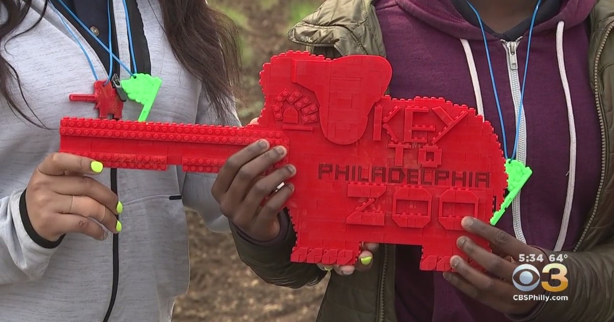Zoo Keys Return To Philadelphia Zoo After 12-Year Absence - CBS ...