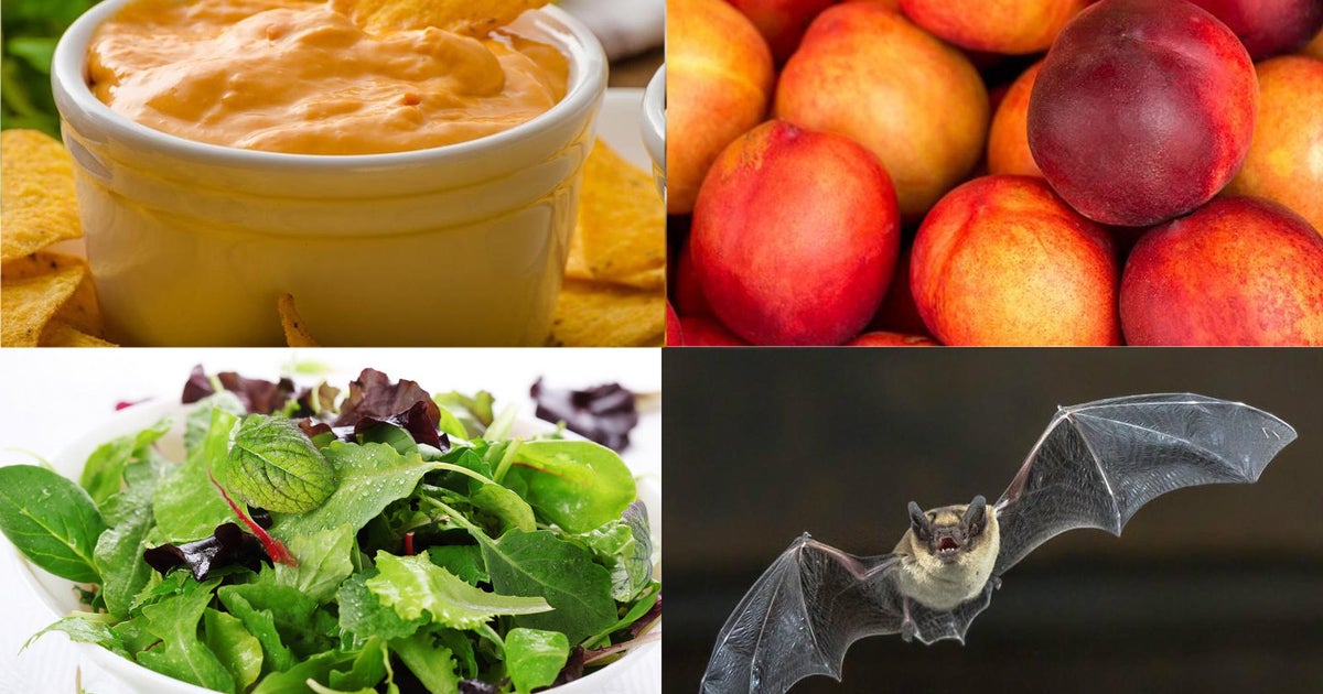 Food recalls 2019: America's surprising recent food recalls