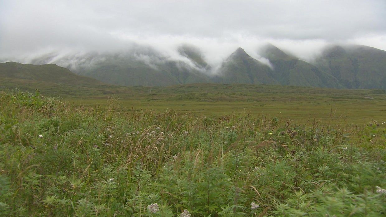 How a Japanese medic and American soldier became linked by World War II ...