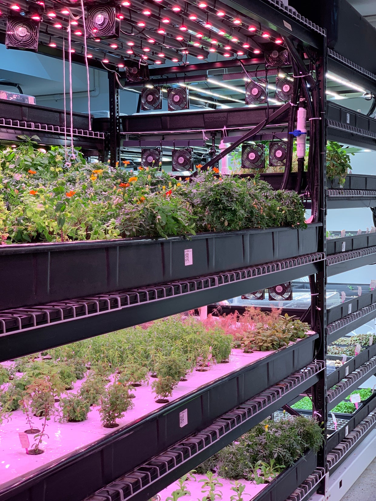 Underground Farm In Tribeca