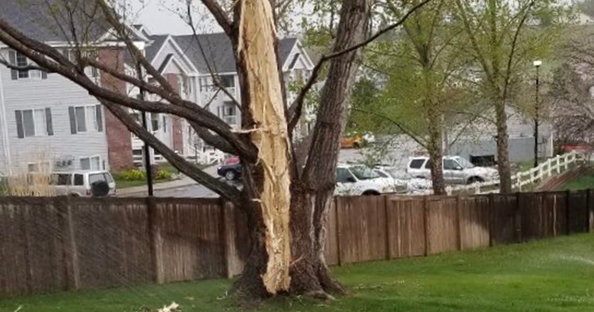 Lightning Strikes Tree, Wood Flies Into Home - CBS Colorado