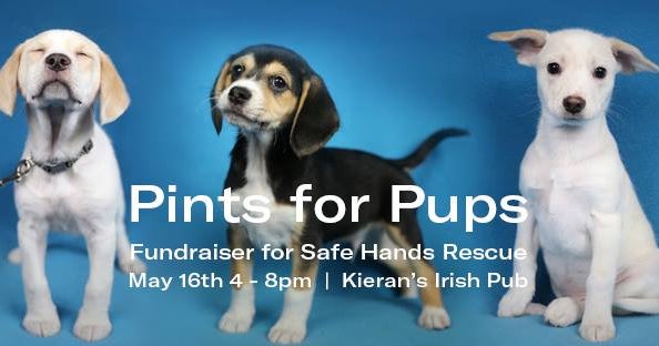 Pints For Pubs Fundraiser - CBS Minnesota