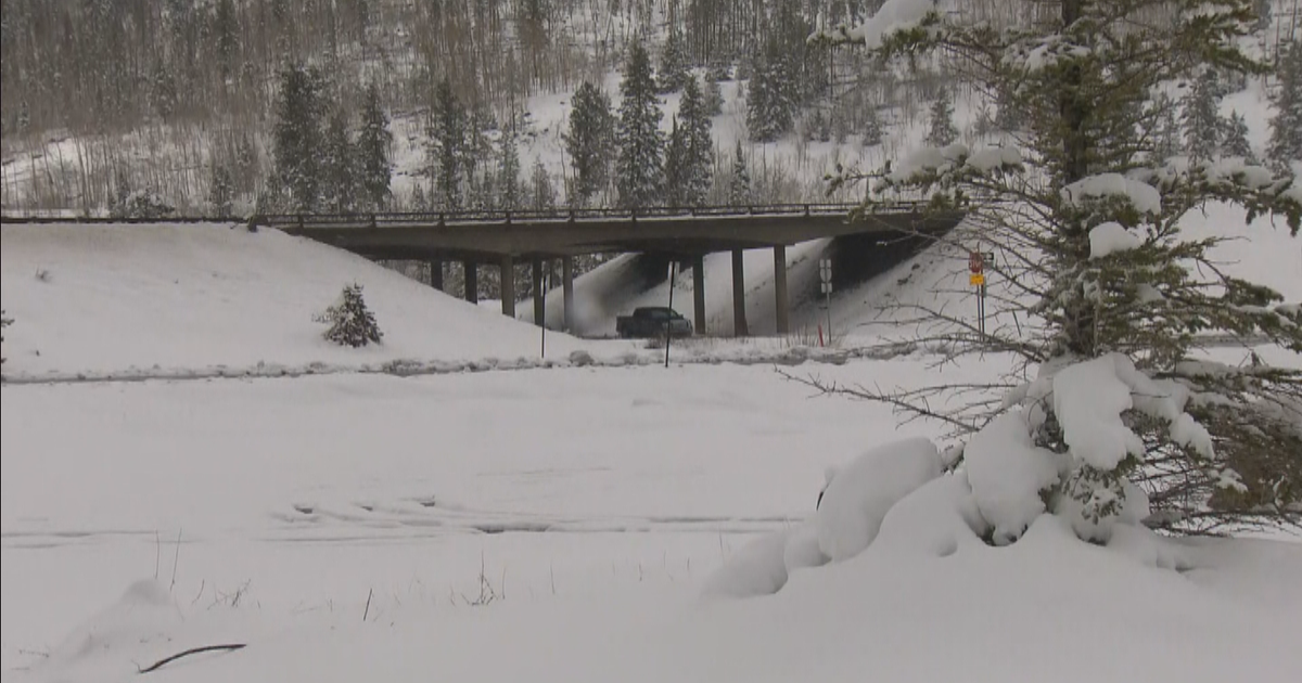 Multiple Crashes Force Vail Pass To Close - CBS Colorado