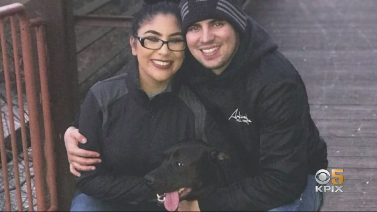 Wayward Dog Found In Michigan Reunited With Owner At SFO - CBS San ...