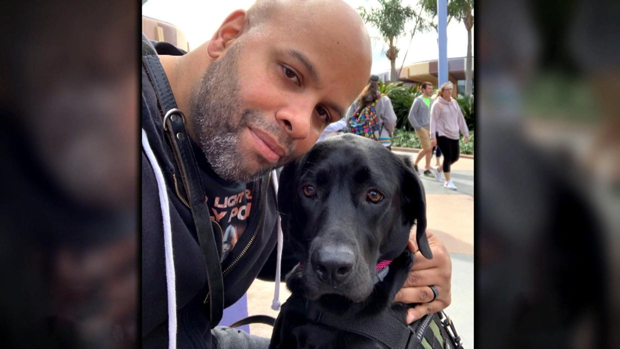 Service dog: Scientists studying how animals help military veterans ...