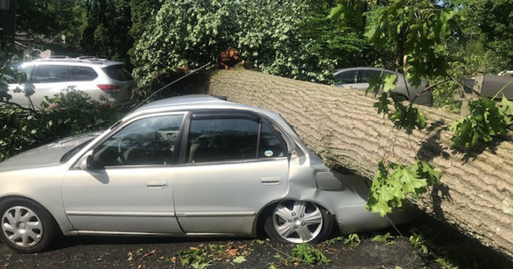 New York City Officials Warn Of Possible Severe Weather, Offer Tornado ...