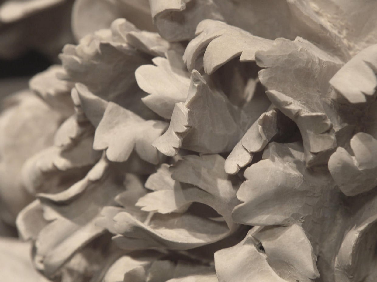 The delicate craft of wood carver David Esterly - CBS News