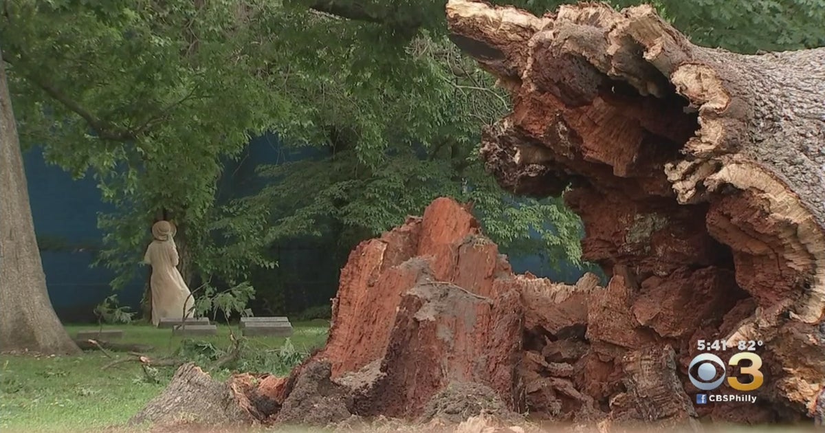 'Feels Like A Death In The Family': Salem Community Mourns Loss Of 600 ...