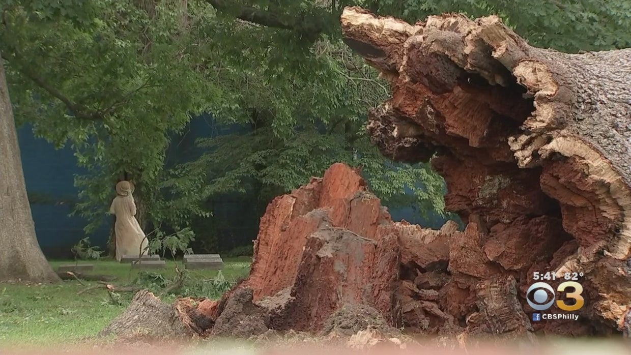 'Feels Like A Death In The Family': Salem Community Mourns Loss Of 600 ...