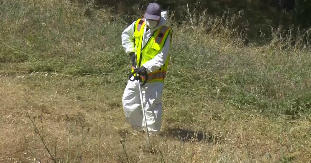Santa Rosa Fire Department Begins Inspecting Properties For Weed ...