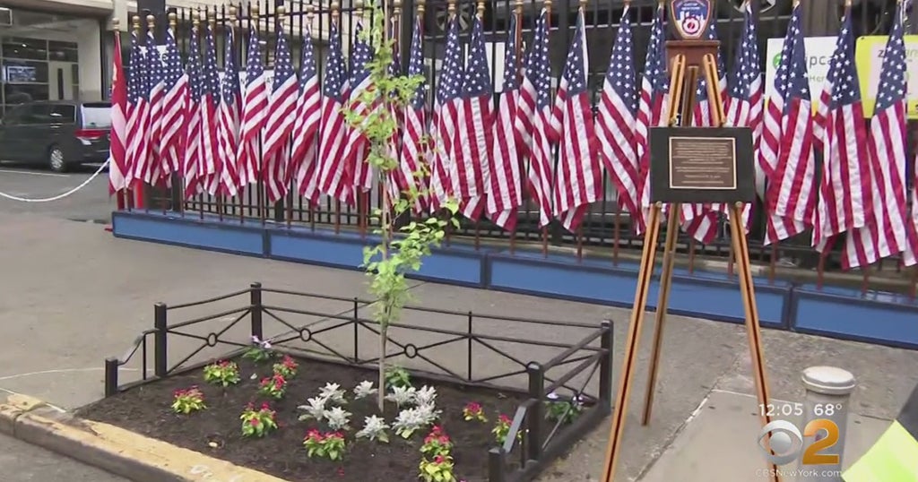 Dedication Held For 9/11 Survivor Tree Outside NYC Fire Museum - CBS ...