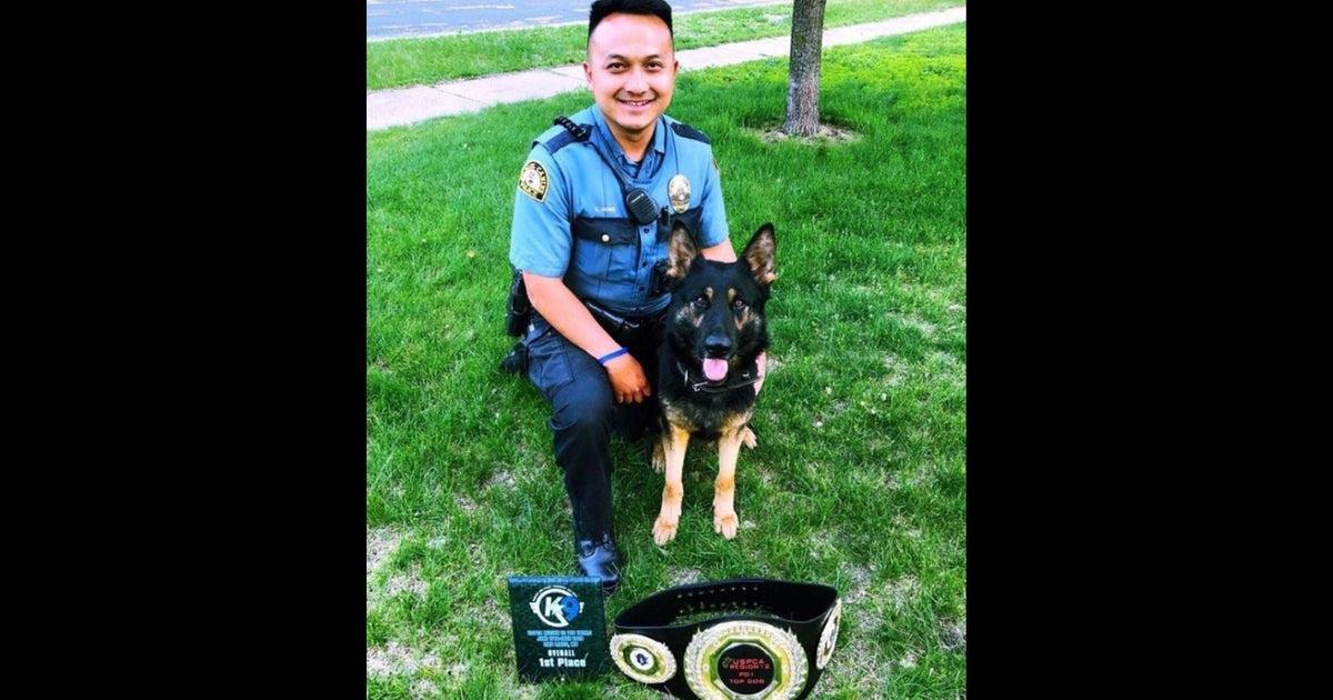 Meet Diesel, St. Paul Police K9 And USPCA Region 12's 'Top Dog' - CBS ...