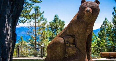 Placer County Paying To Keep Penny Bear Sculpture As Permanent Art ...