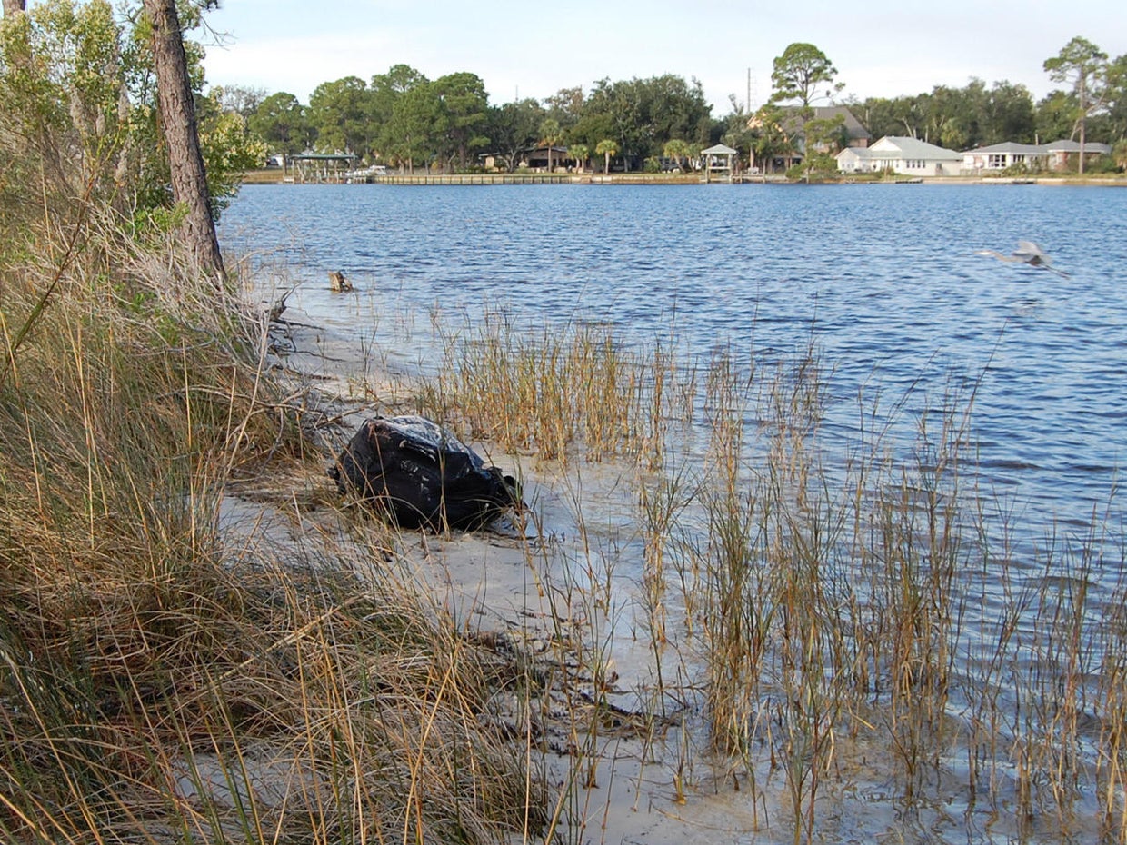 Zack Littleton, convicted killer of pregnant Florida mother, "I did not ...