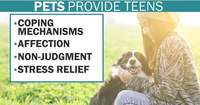 How owning a pet can help raise teens' self-esteem - CBS News