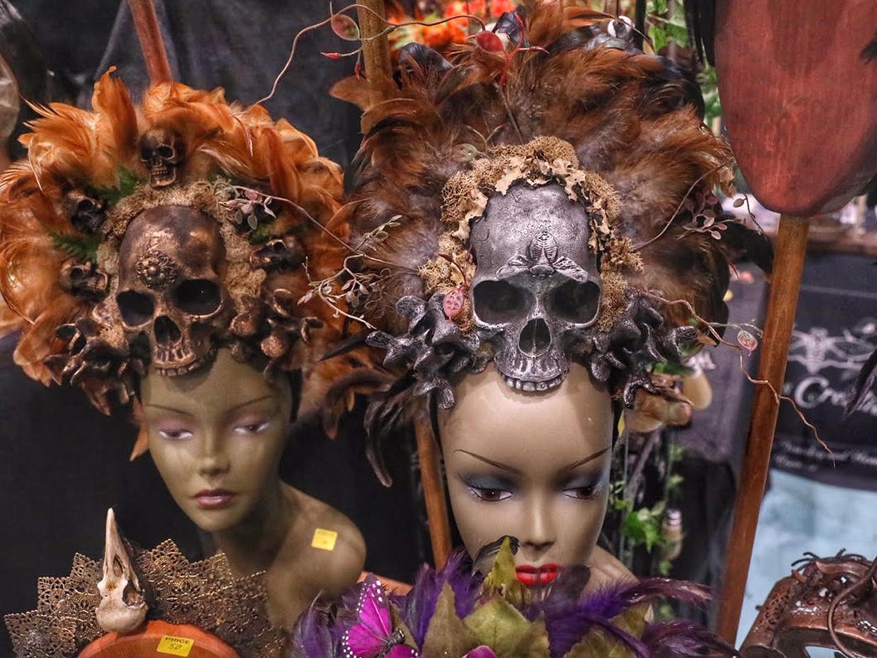 The Oddities & Curiosities Expo