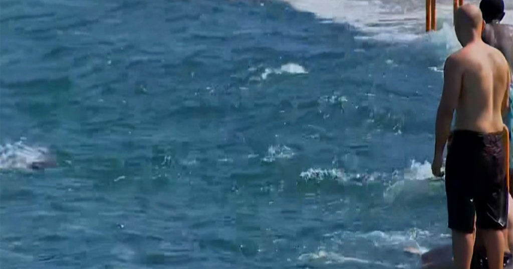 Threat Of Dangerous Waves, Currents Prompts Warning About Beach Hazards ...