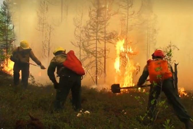 Siberia wildfires in Russia a potential "disaster" for climate as they ...