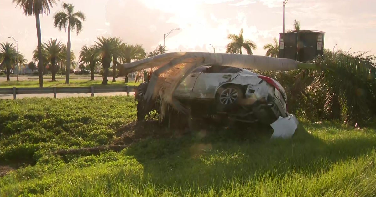 1 Person Hospitalized Following Single Vehicle Crash On MacArthur ...