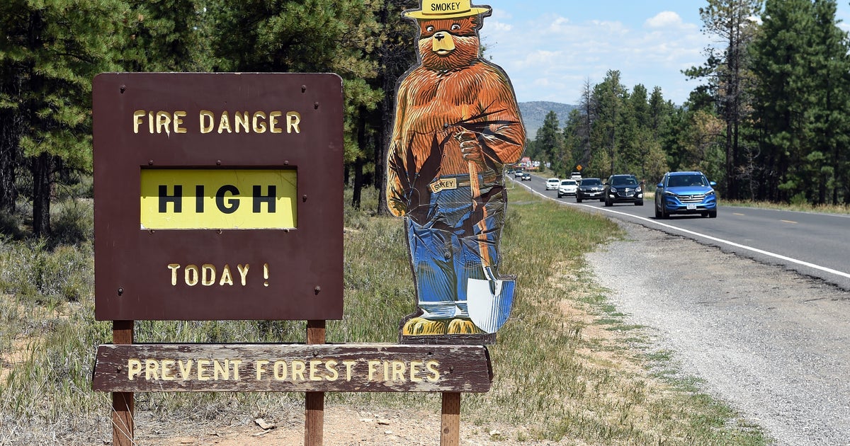'Only You Can Prevent Wildfires': Smokey Bear Celebrates 75th Birthday ...