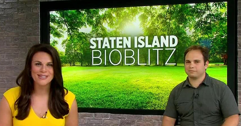 Staten Island BioBlitz Putting Kids In Touch With Nature This Weekend ...