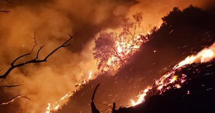 Fireworks May Have Started Palisade Peach Festival Fire - CBS Colorado