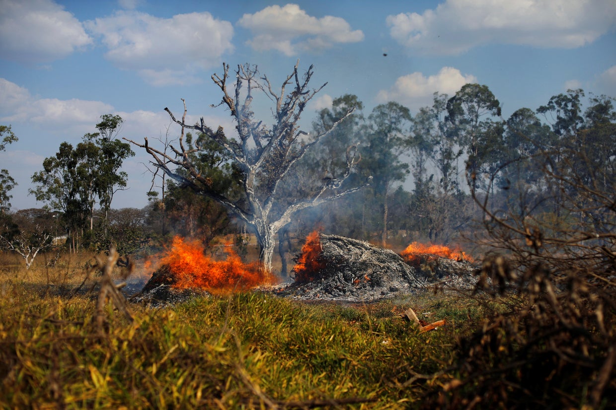 Pictures from the Amazon rainforest fires in Brazil