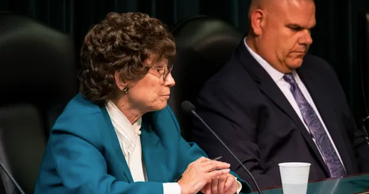 Michigan city council candidate Jean Cramer wants to keep community as ...