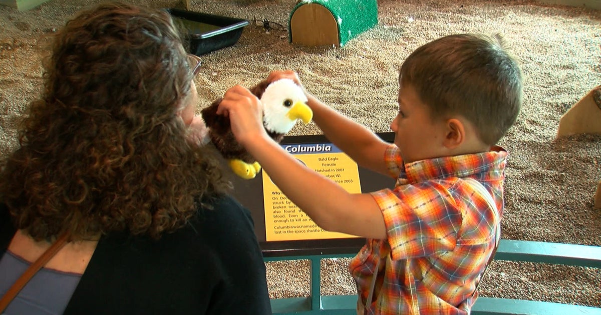 'He's So Special': 6-Year-Old Liam Hansen Raises Money For Eagles - CBS ...