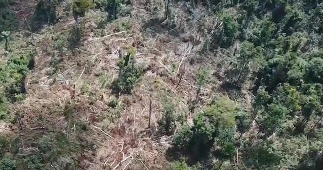 Homes of indigenous tribes destroyed as Amazon fires continue to burn ...