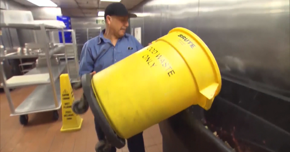 To Combat Food Waste In America, CU Students Hold Educational Events ...