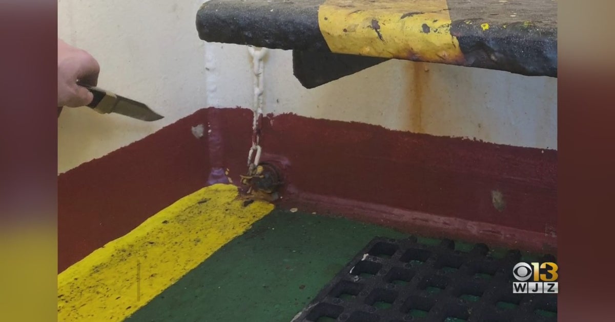 Asian Gypsy Moth Egg Masses Discovered On Ships In The Port Of ...