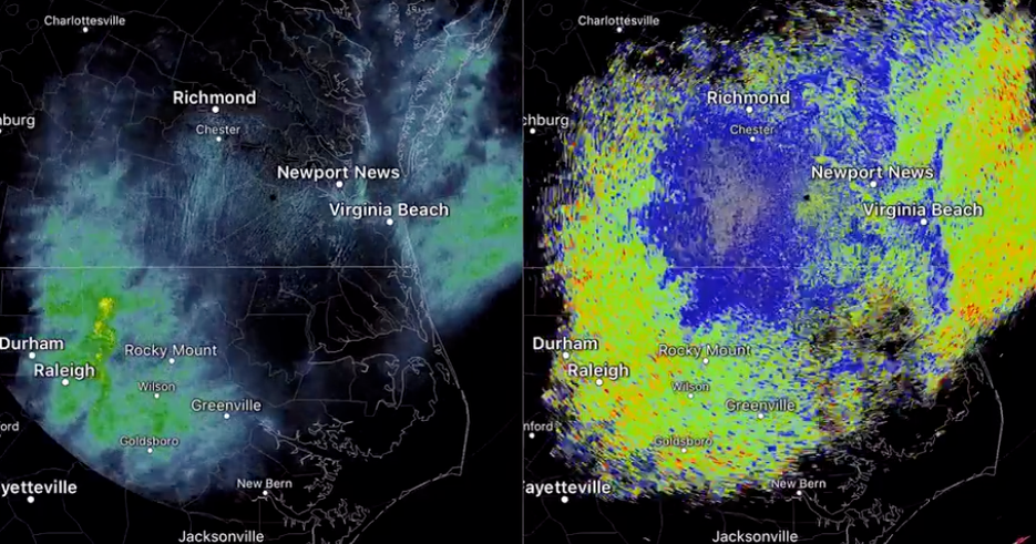 Dragonflies on radar: National Weather Service radar picks up gigantic ...