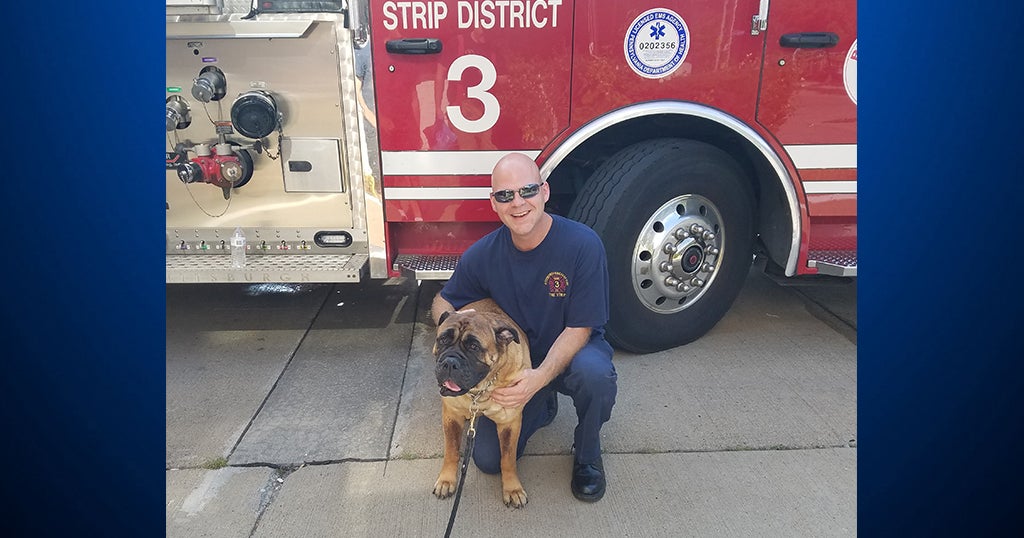 Pittsburgh Firefighters Get Adorable Mascot For The Weekend - CBS ...