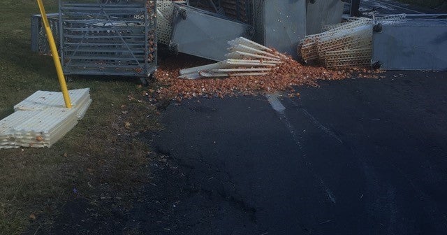 Over 136,000 Eggs Fall Off Tractor-Trailer Onto Pennsylvania Roadway ...