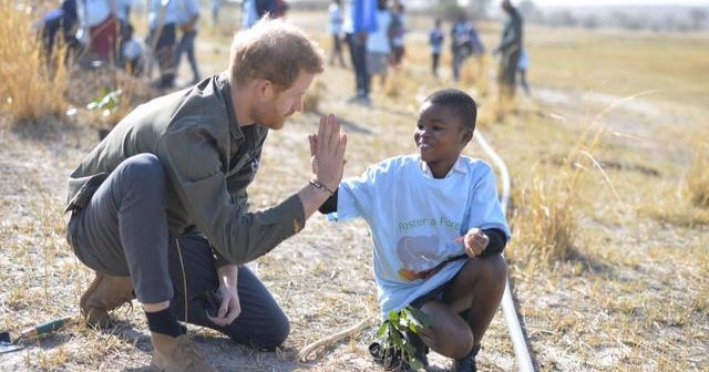 Prince Harry continues royal tour in Botswana - CBS News