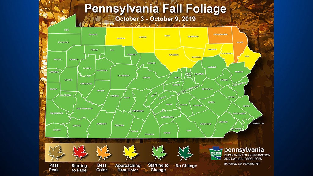 Northern Pa.'s Leaves To Hit 'Prime' Fall Colors Next Week With Western ...