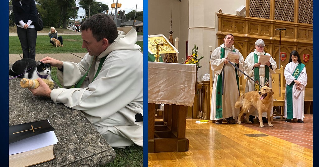 Over 100 Dogs, Animals Blessed At Mt. Lebanon Church Service - CBS ...